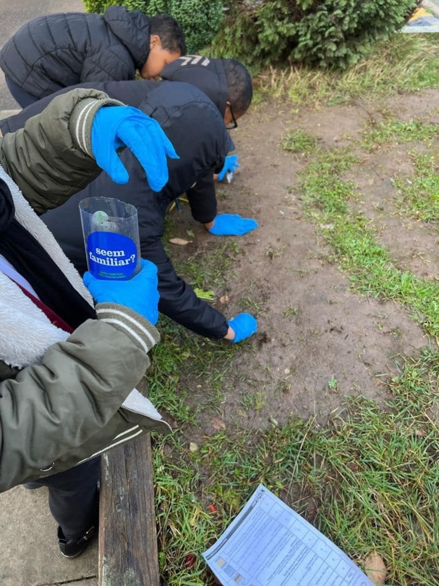 Seraphic Academy - Profile (2023)