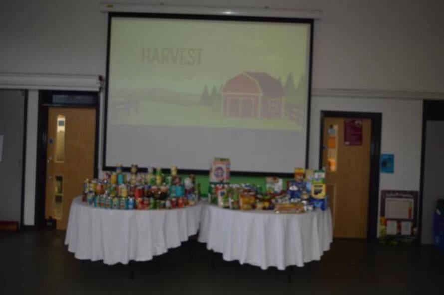 The Flying Bull Academy - Profile (2023)