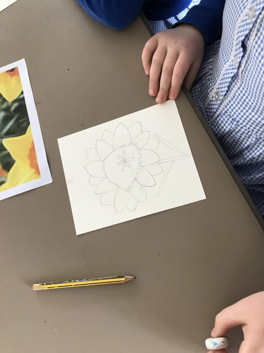 St Marys Catholic Primary School Falmouth Gallery Photos Of Campus