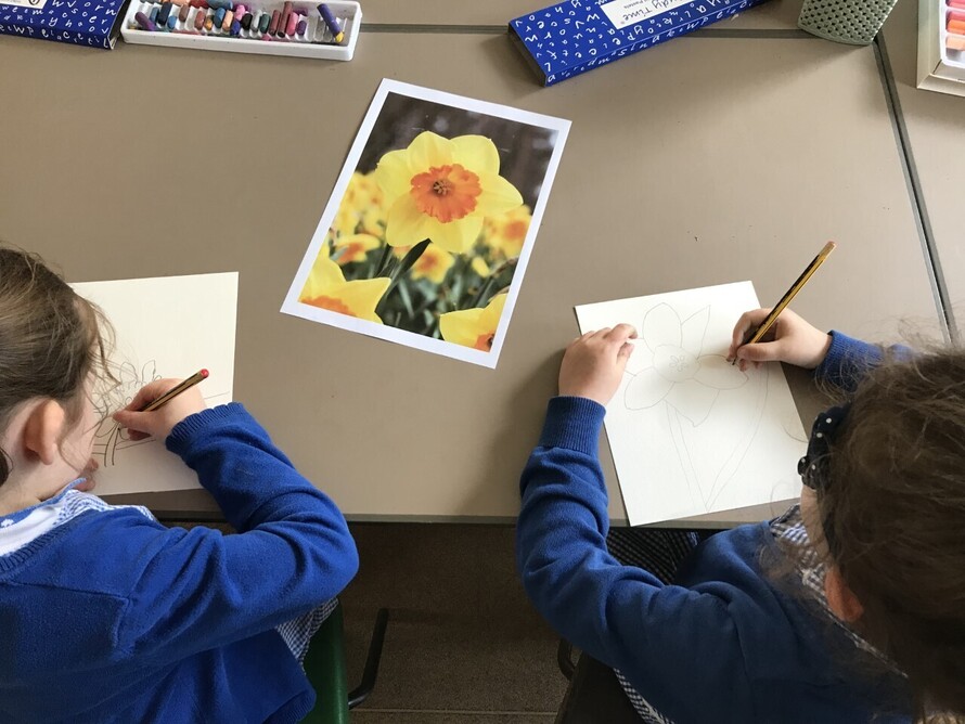 St Marys Catholic Primary School Falmouth Profile 2023