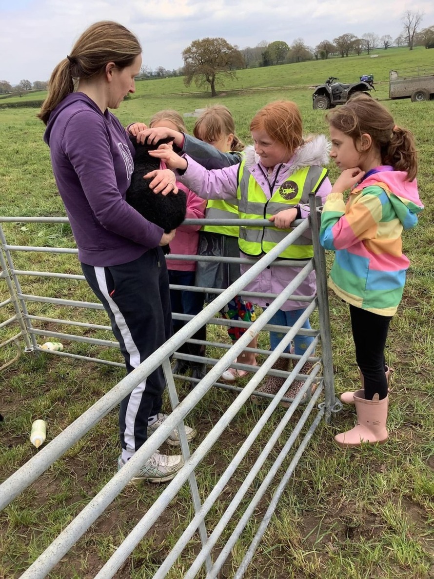 Smallwood CofE Primary School - Profile (2023)