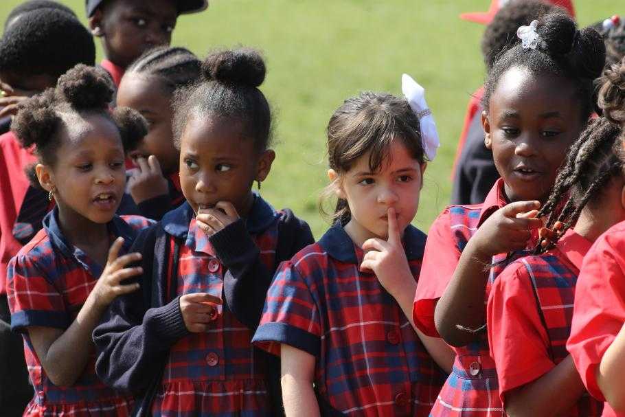 Holmesdale Community Infant School - Profile (2023)