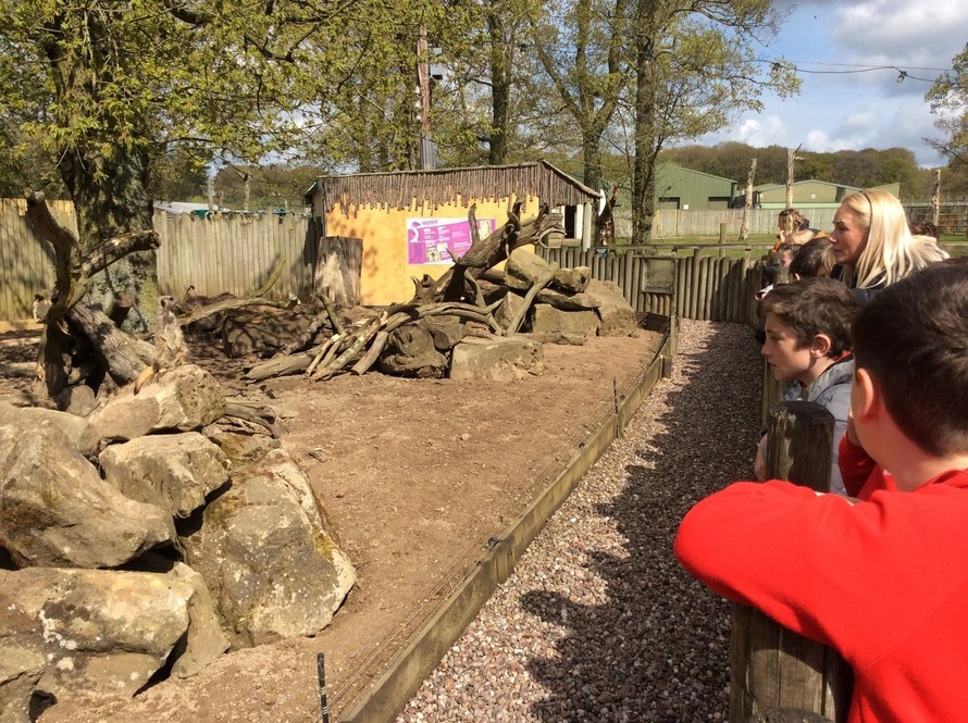 Blessed Sacrament Catholic Primary School - Profile (2023)