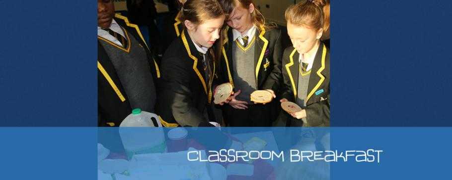 Totley Primary School - Profile (2024)
