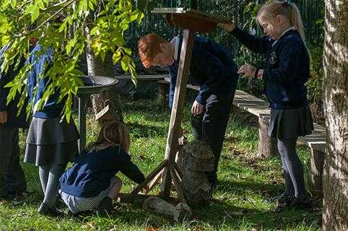 Brambleside Primary School - Profile (2023)