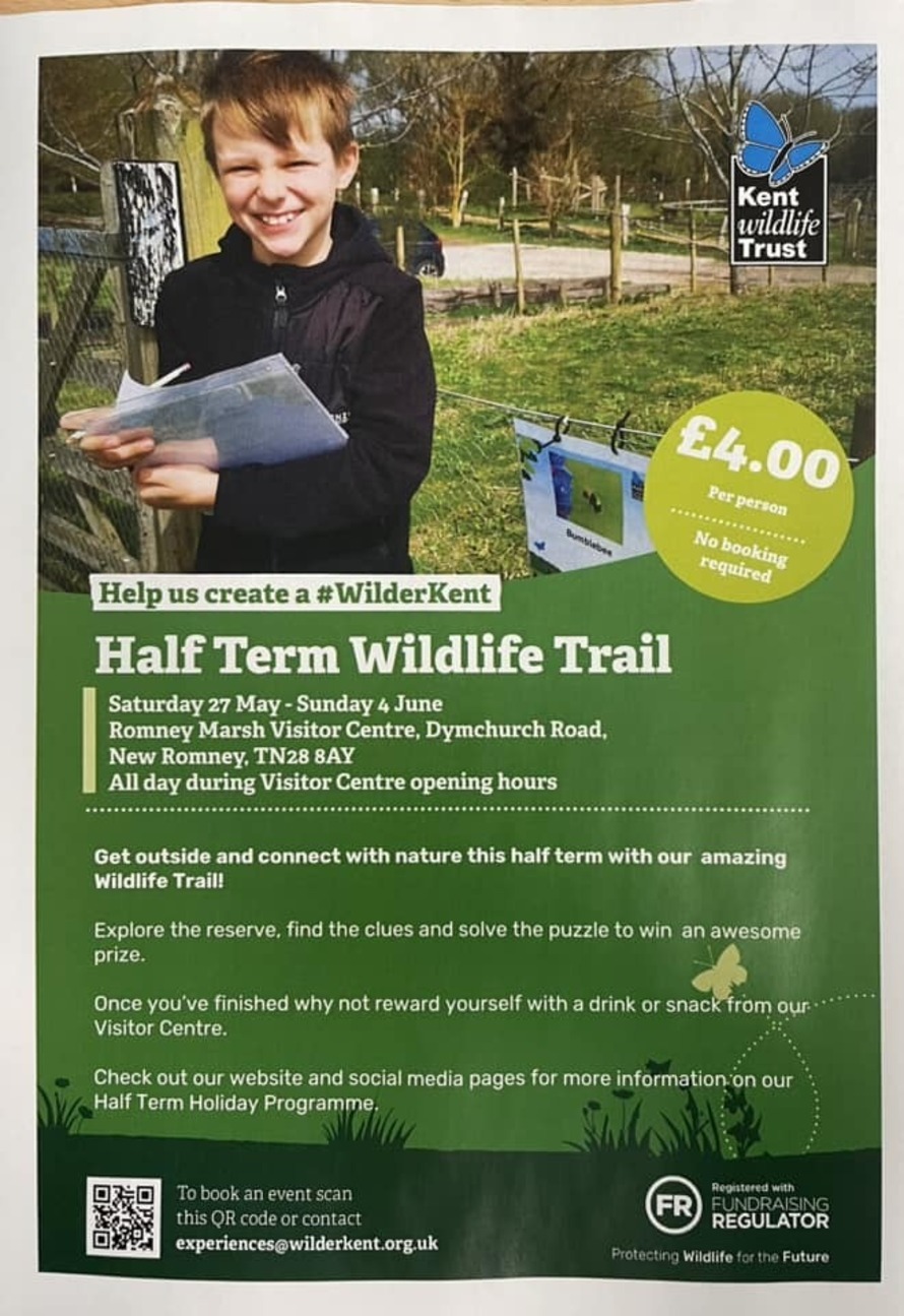 Lydd Primary School - Profile (2023)