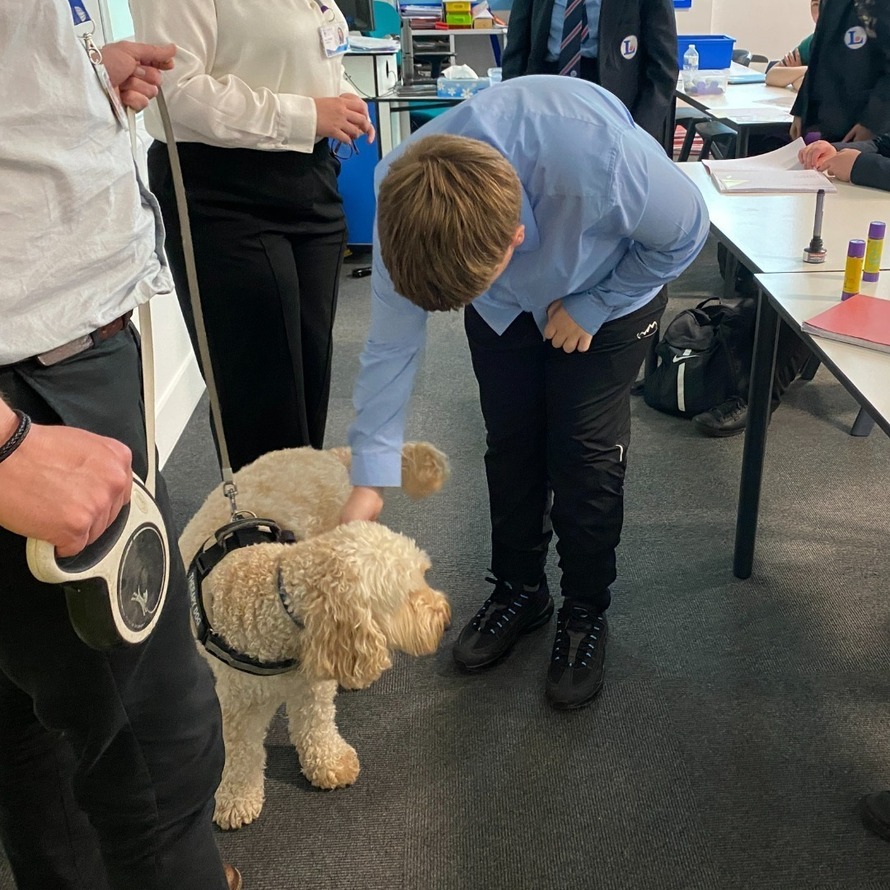 Stanley High School - Profile (2024)