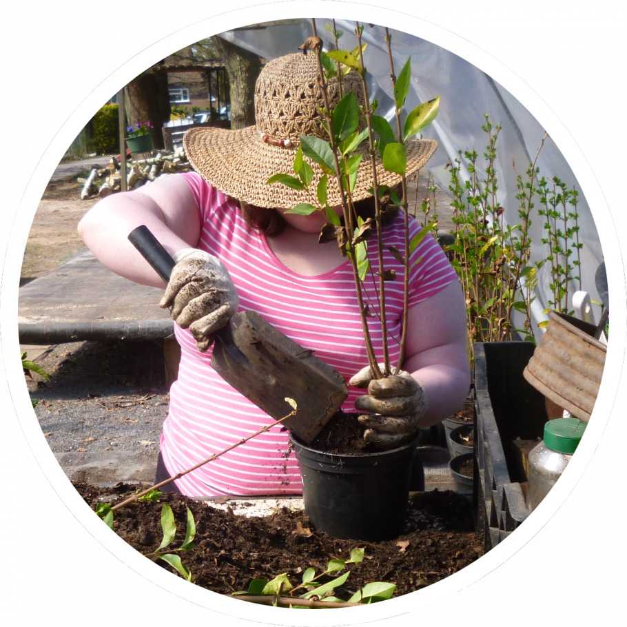 Trinity Specialist College Ltd - Profile (2024)