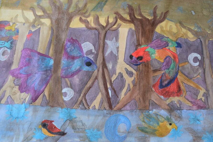 The Sir John Colfox Academy - Profile (2024)