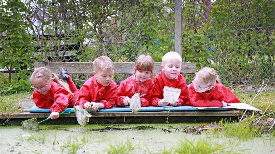 St John's Church of England First School, Wimborne - Profile