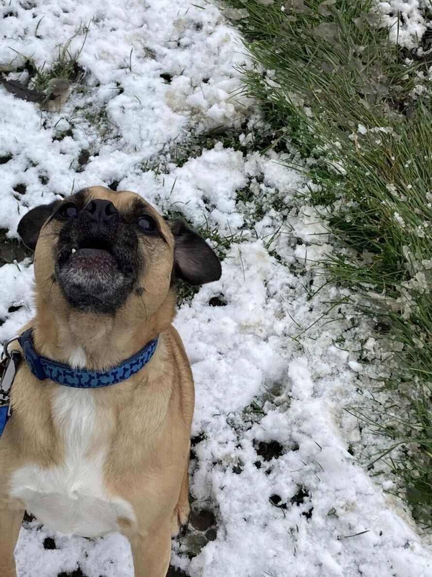 Fairburn View Primary School, Castleford - Profile (2023)