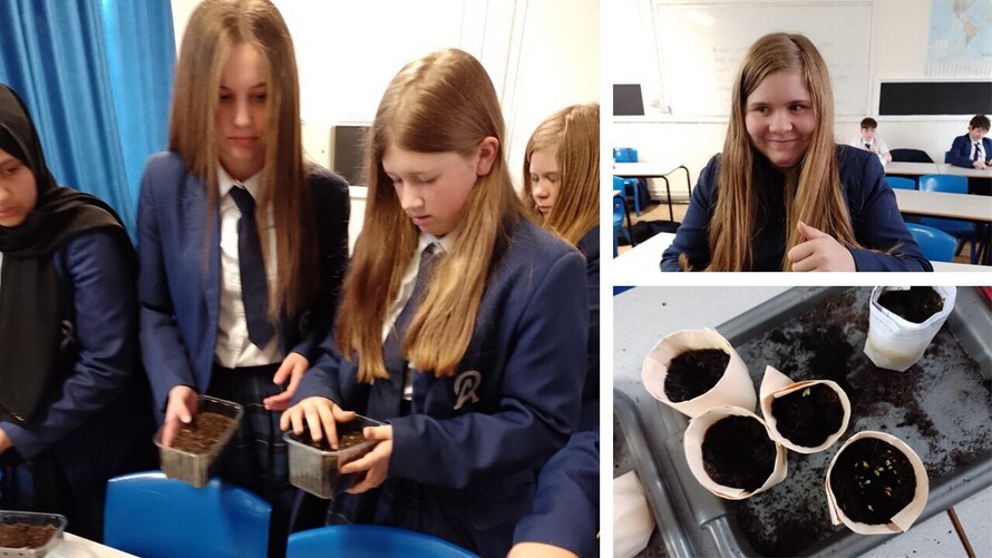 The Orme Academy - Profile (2023)