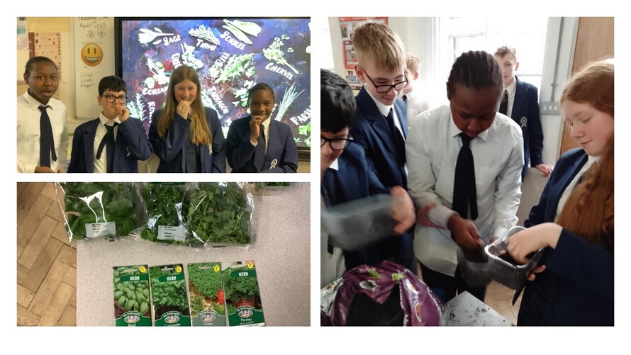 The Orme Academy - Profile (2023)