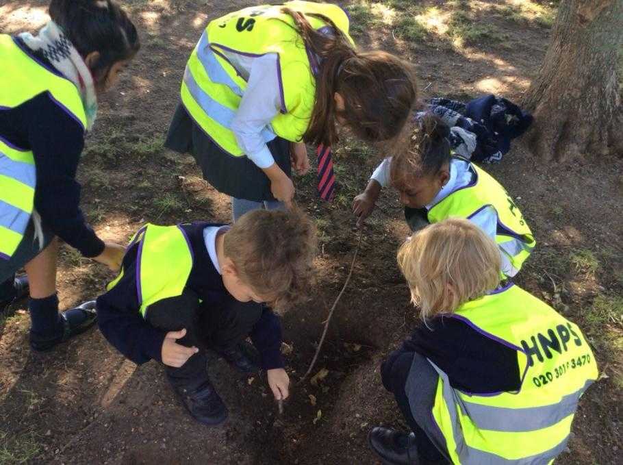 Hackney New Primary School - Profile (2023)