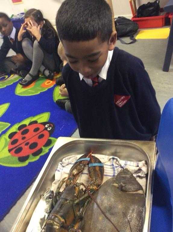 Hackney New Primary School - Profile (2024)