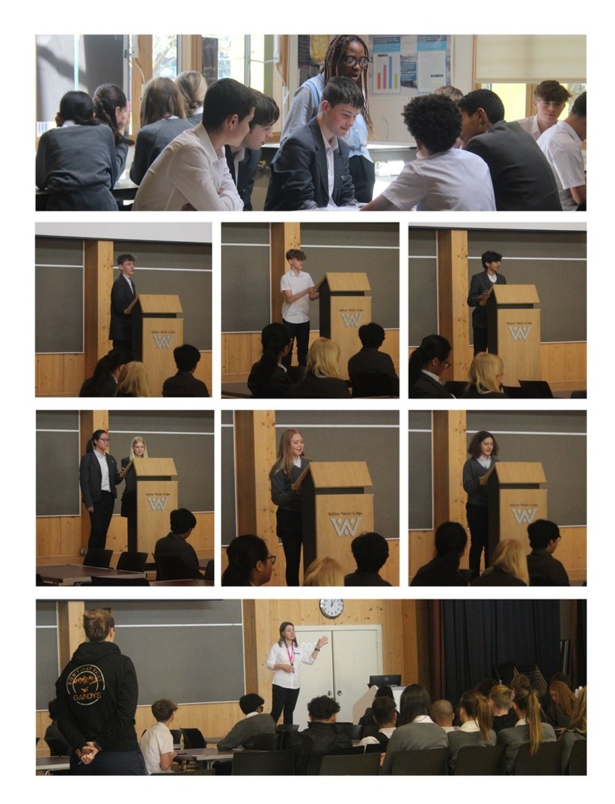 Waingels - Profile (2023)