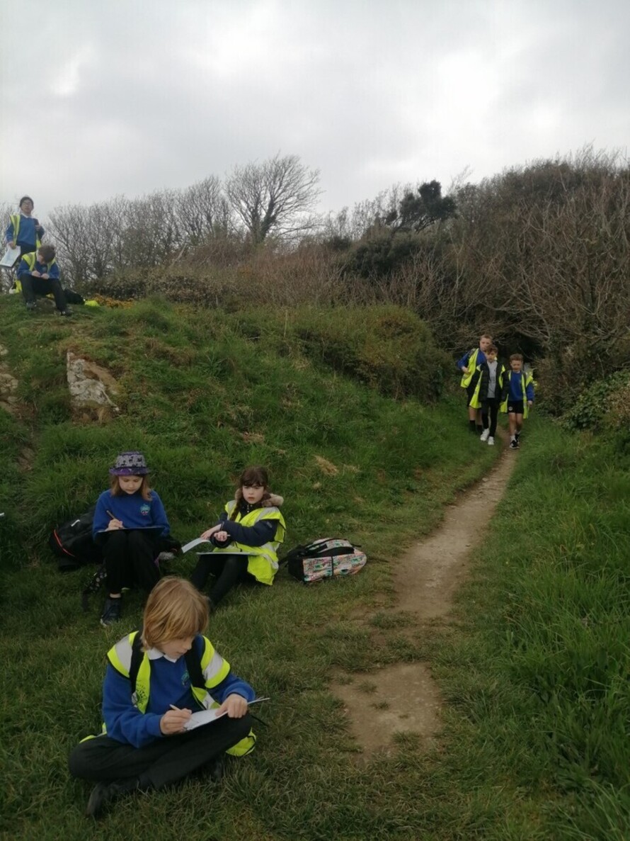 Fowey Primary School - Profile (2023)