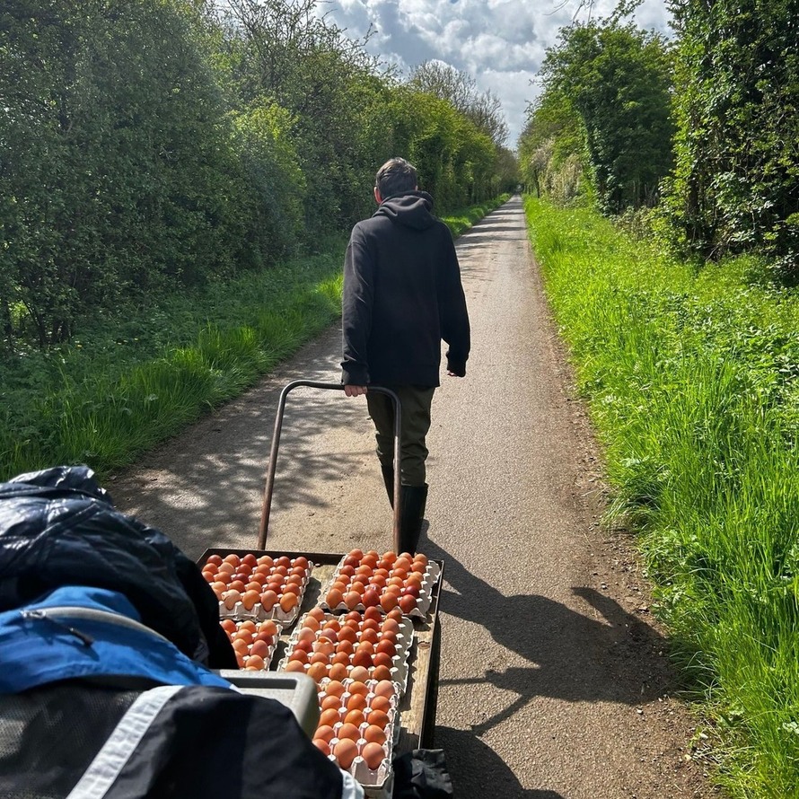 Bradon Forest School - Profile (2023)