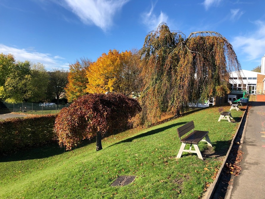 Beechview Academy - Profile (2023)