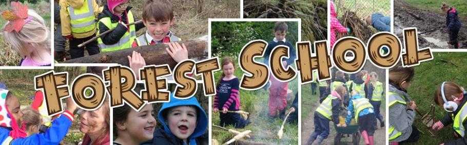 St James Church of England Primary School, Hanney - Profile