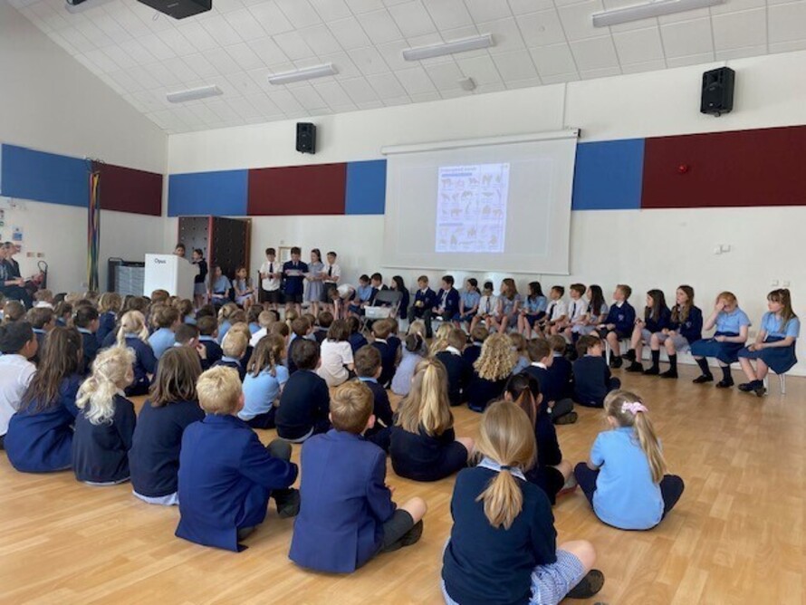 Twynham Primary School - Profile (2023)