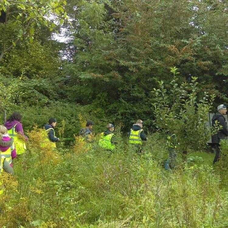 Flowery Field Primary School - Profile (2024)