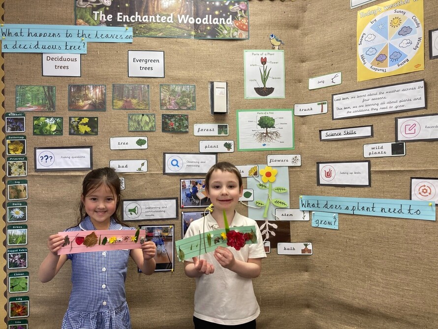 St Mewan Community Primary School - Profile (2024)