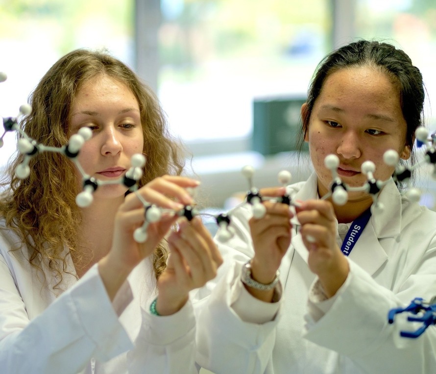 The National Mathematics and Science College - Profile (2024)