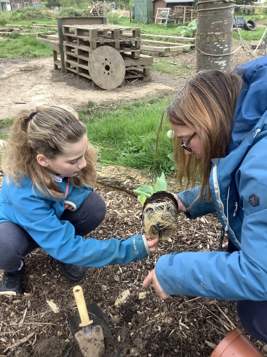 Rosebrook Primary School - Profile (2023)