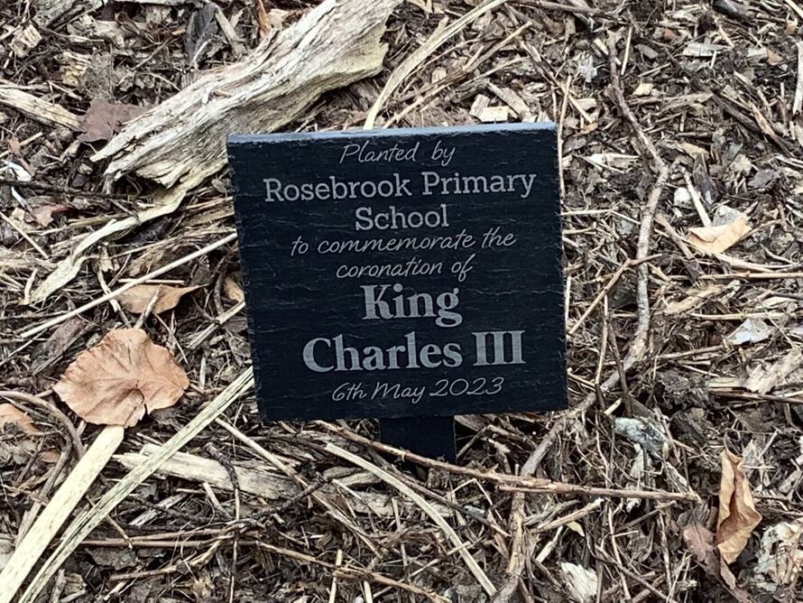 Rosebrook Primary School - Profile (2023)