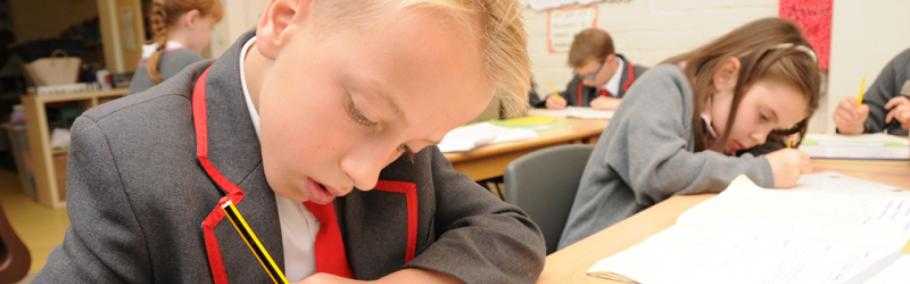 Calveley Primary Academy - Profile (2024)