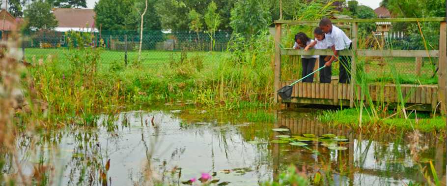 Hazelbury Primary School - Profile (2024)