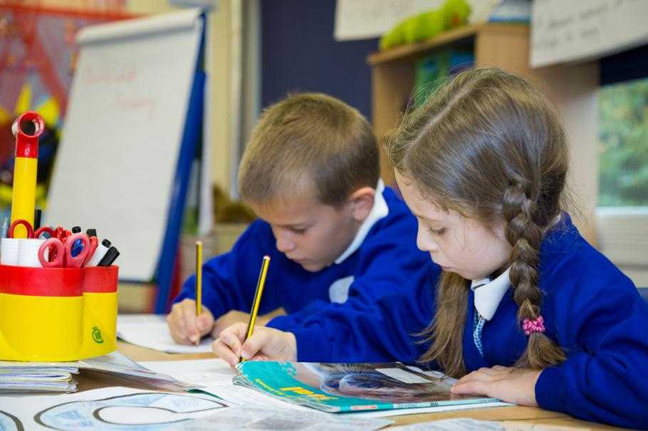 Ryedene Primary and Nursery School - Profile (2024)