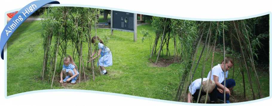 Kippax Ash Tree Primary School - Profile (2024)