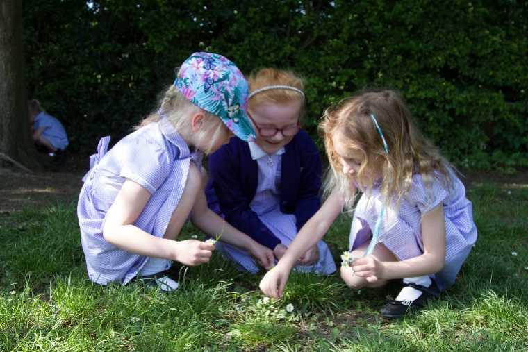 Ashby Willesley Primary School - Profile (2023)