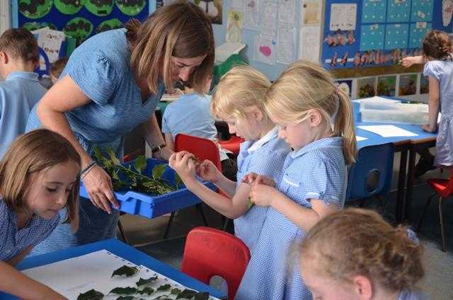 High Down Infant School - Profile (2022)