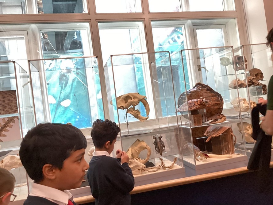 Alexandra Junior School in Stoke-on-Trent - Profile (2023)