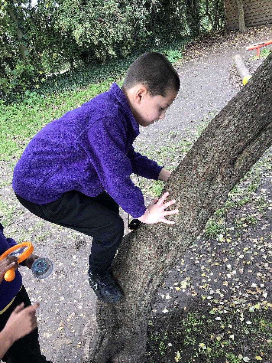 Laurance Haines School - Profile (2024)