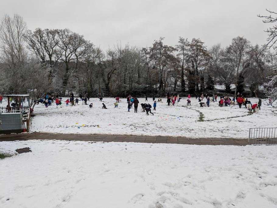 Springdale First School - Profile (2024)