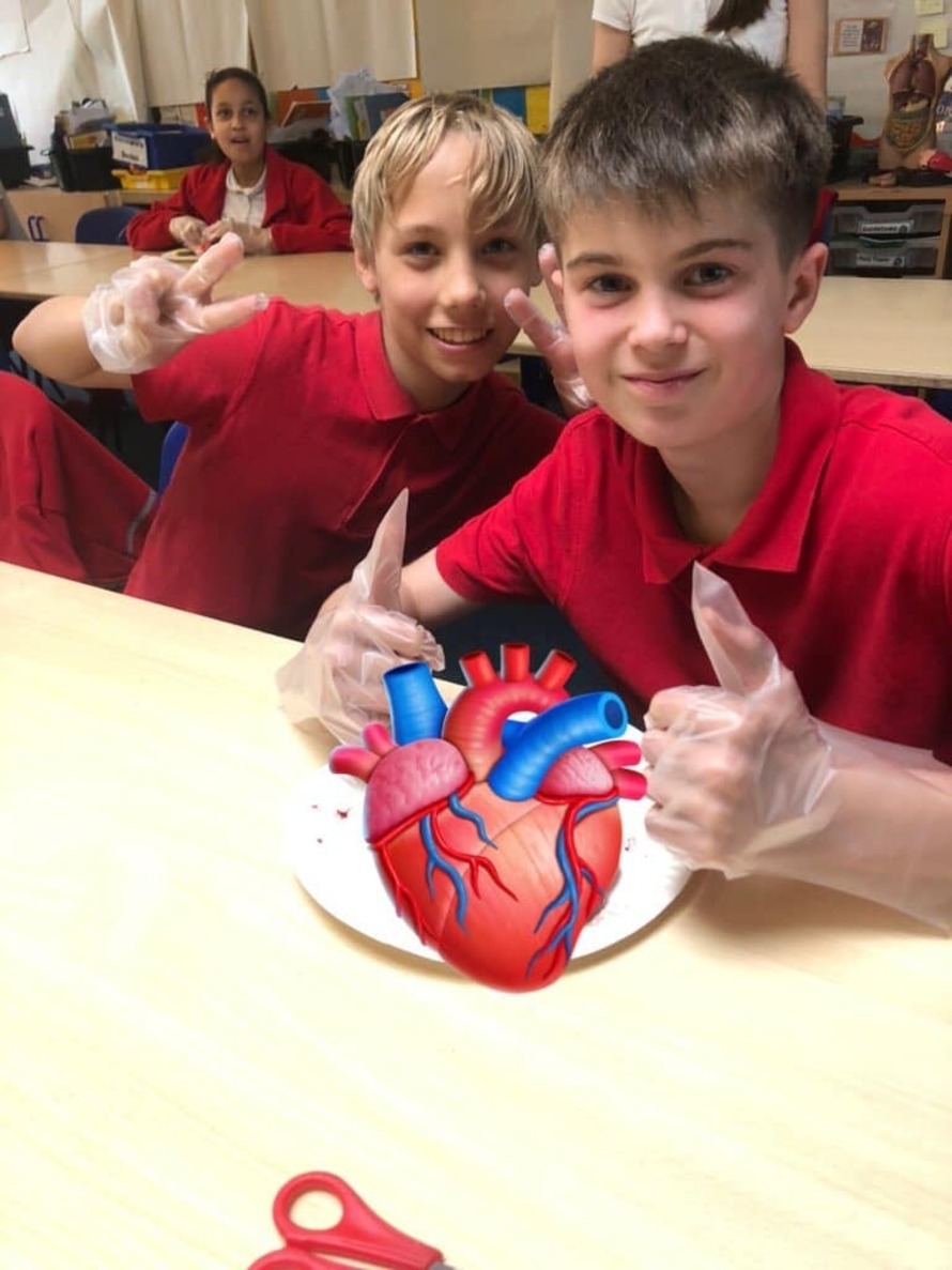 Lodge Farm Primary School in Stevenage - Profile (2023)