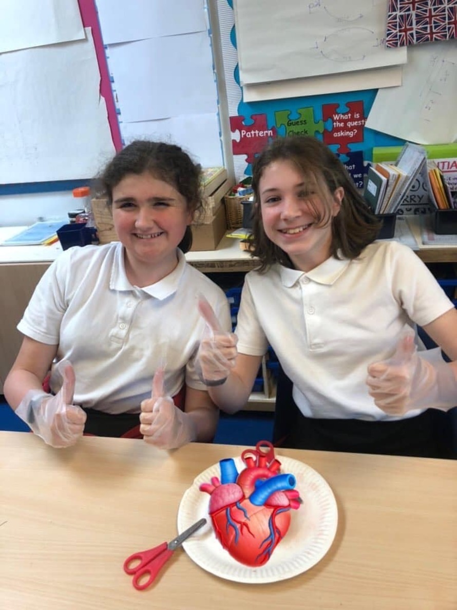 Camps Hill Primary School Gallery: Photos of Campus Life, Activities ...