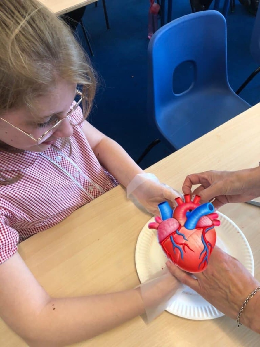 Camps Hill Primary School Gallery: Photos of Campus Life, Activities ...