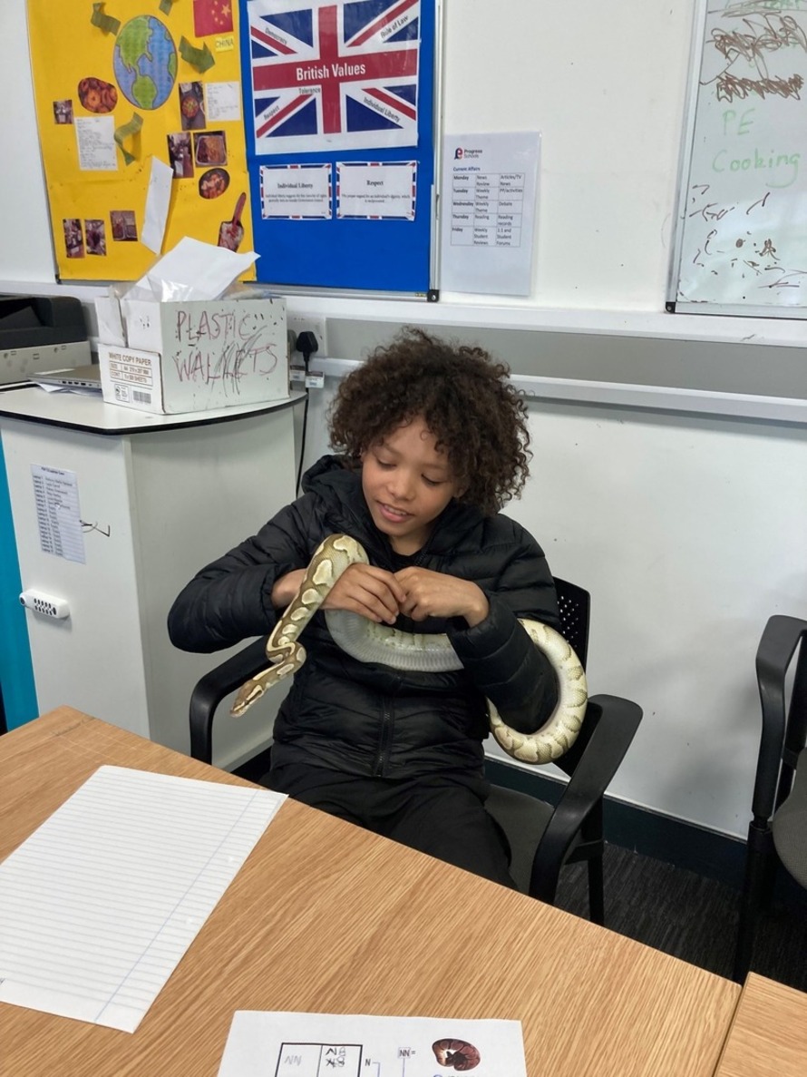 Progress Schools - Profile (2024)