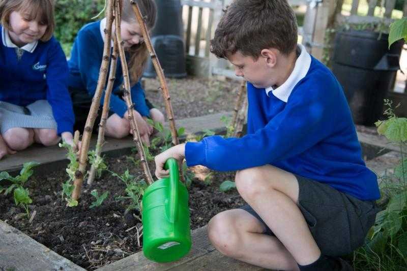 Gomer Junior School - Profile (2023)