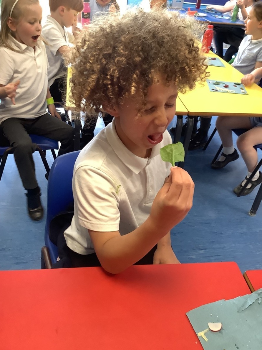 Thames View Primary School - Profile (2023)