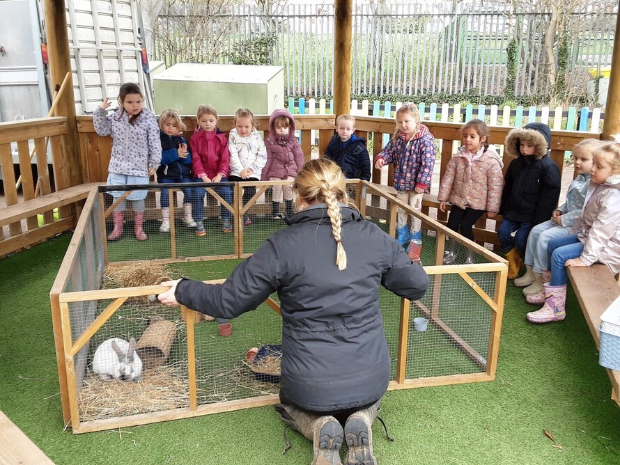 Solent Infant School - Profile (2023)