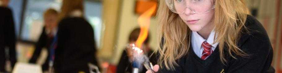 The Whitstable School - Profile (2023)