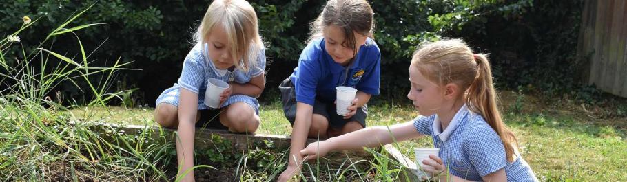 St Andrew's Church of England Primary School in Yetminster - Profile