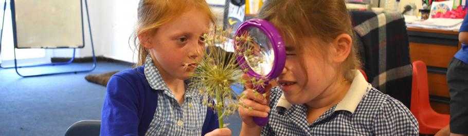 St Andrew's Church of England Primary School in Yetminster - Profile