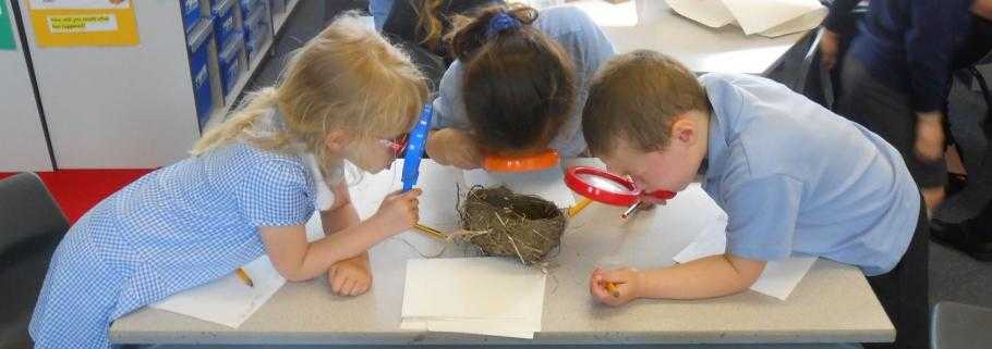 Outwood Primary Academy Bell Lane - Profile (2023)